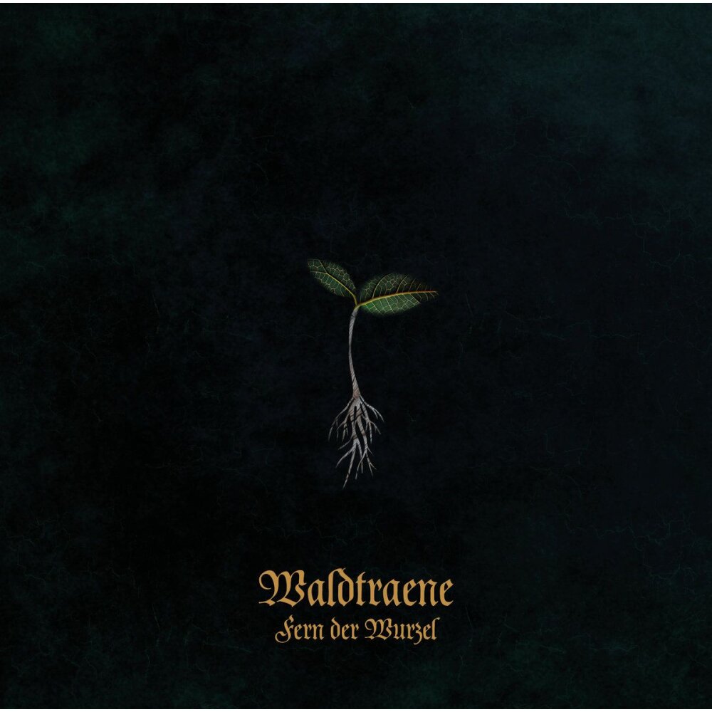 Waldtraene - Fern der Wurzel (2025) CD, 15,00